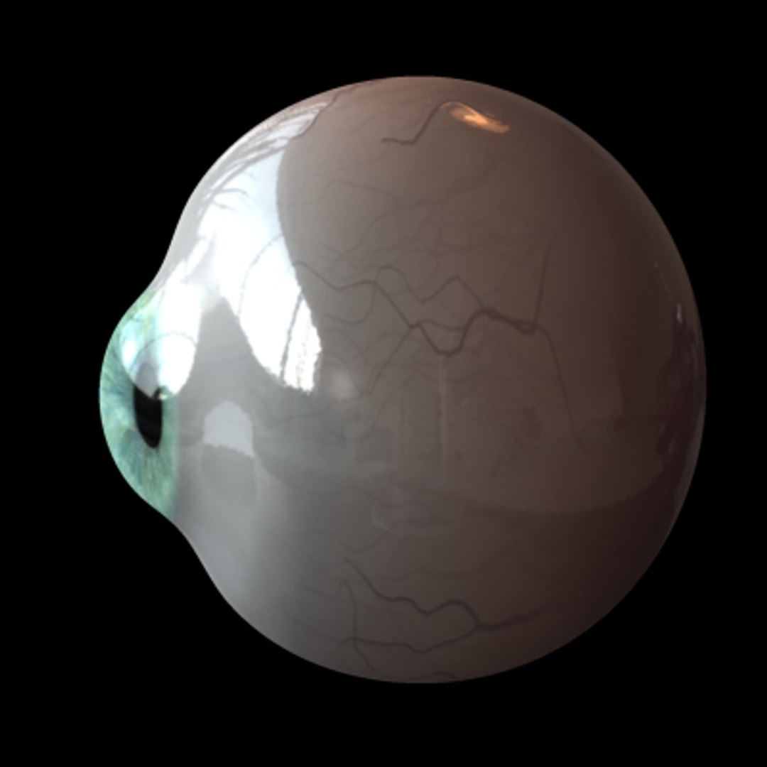 3d model eye pupil