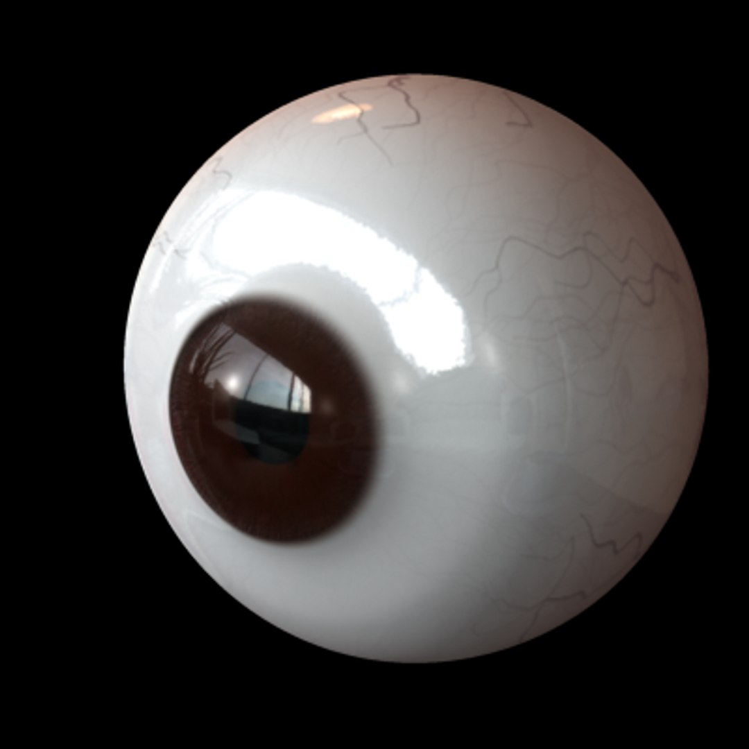3d model eye pupil