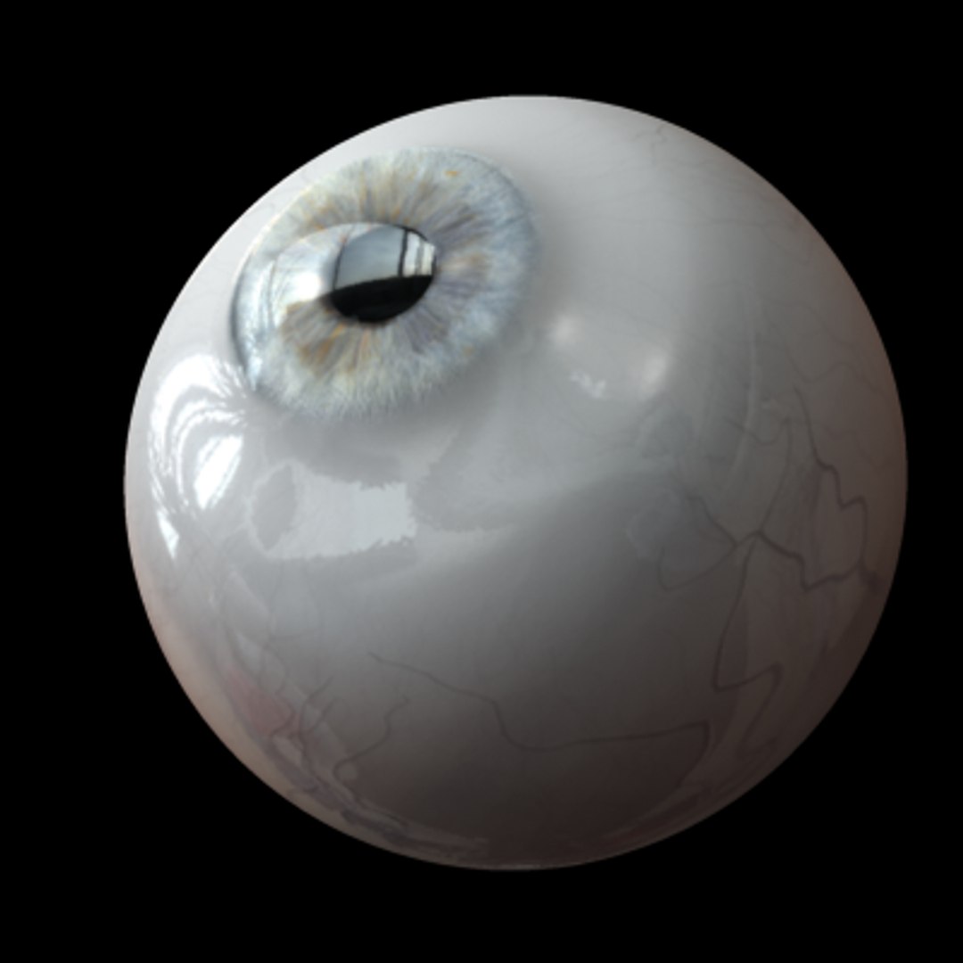 3d model eye pupil