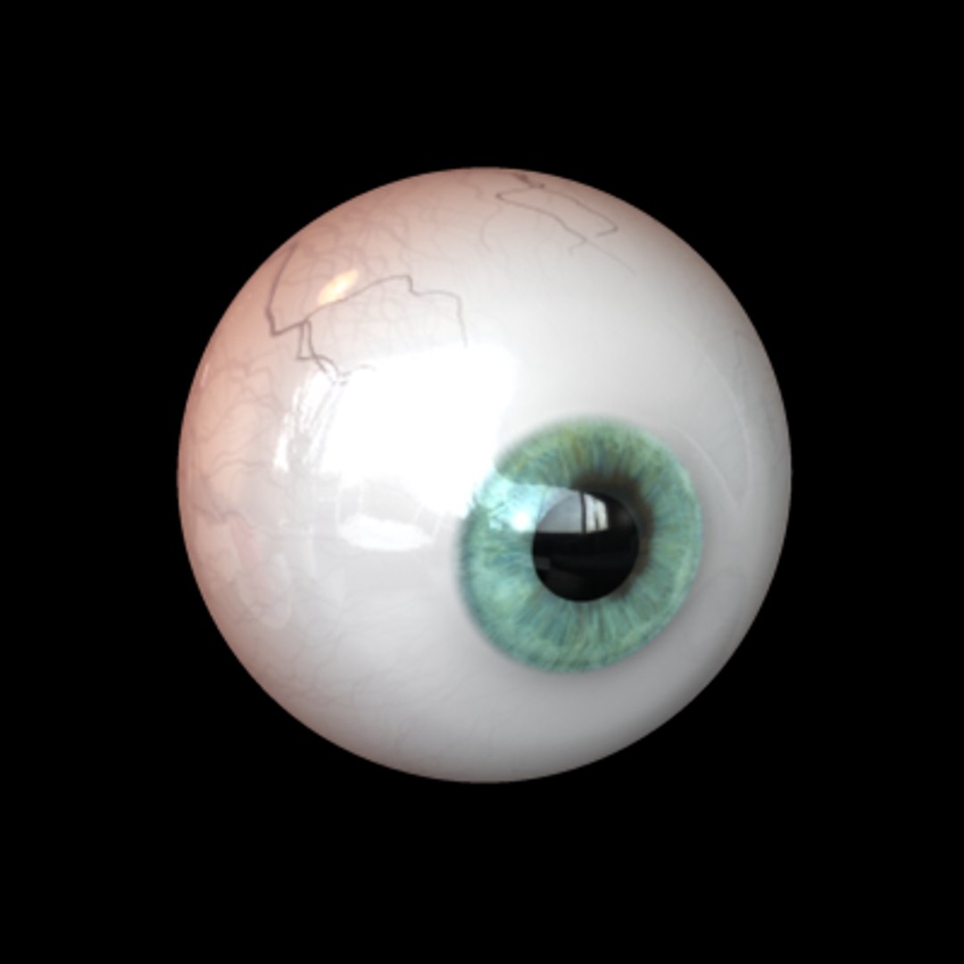 3d model eye pupil