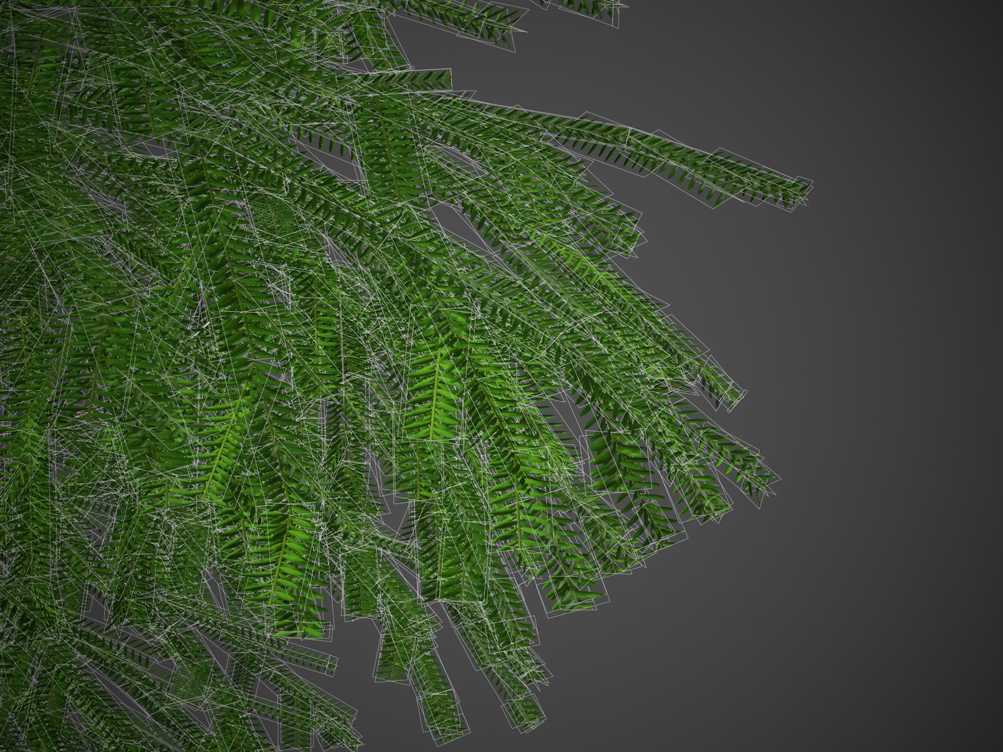 Free XfrogPlants California Redwood - Sequoia Sempervirens 3D Model ...