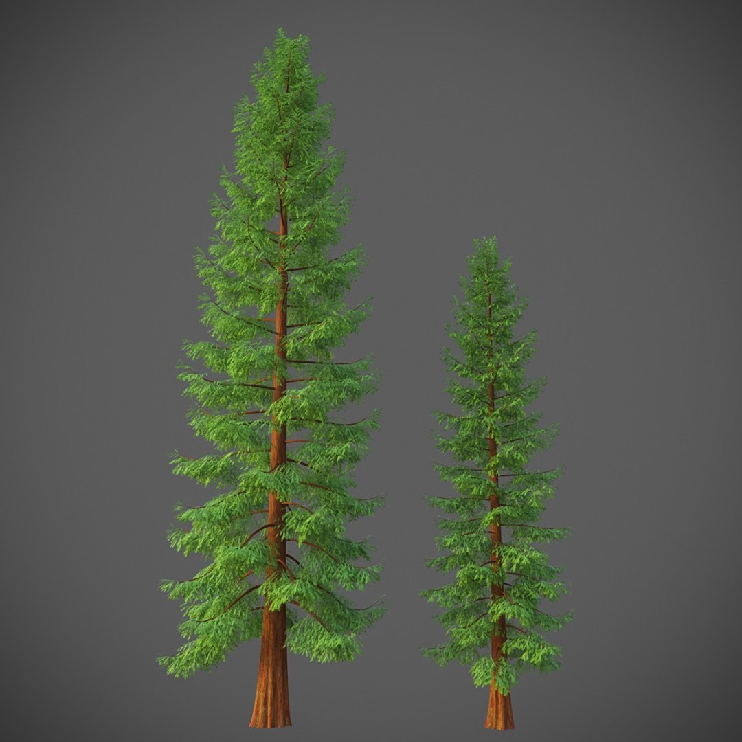 Free XfrogPlants California Redwood - Sequoia Sempervirens 3D Model ...