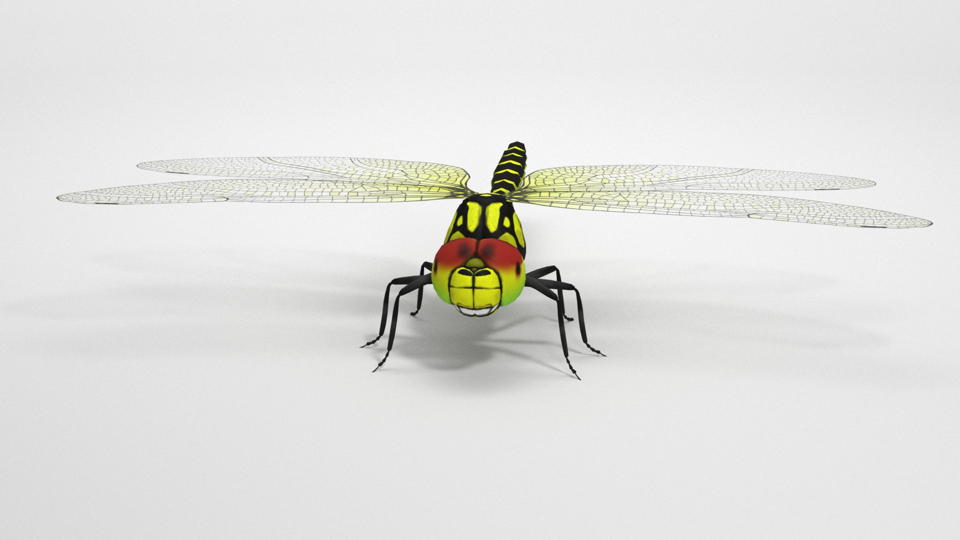 Dragonfly 3D Model - TurboSquid 1826213