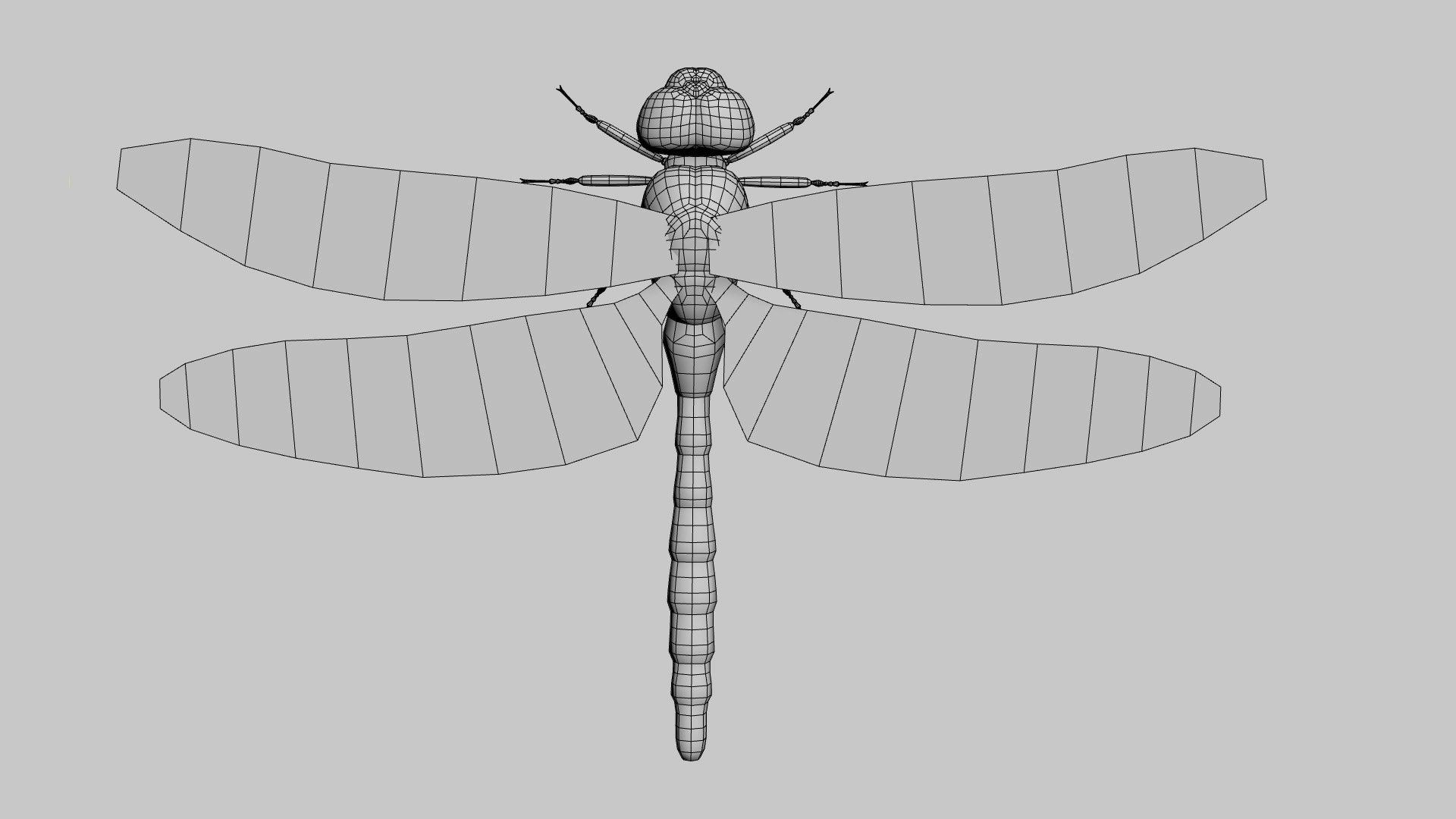 Dragonfly 3D Model - TurboSquid 1826213
