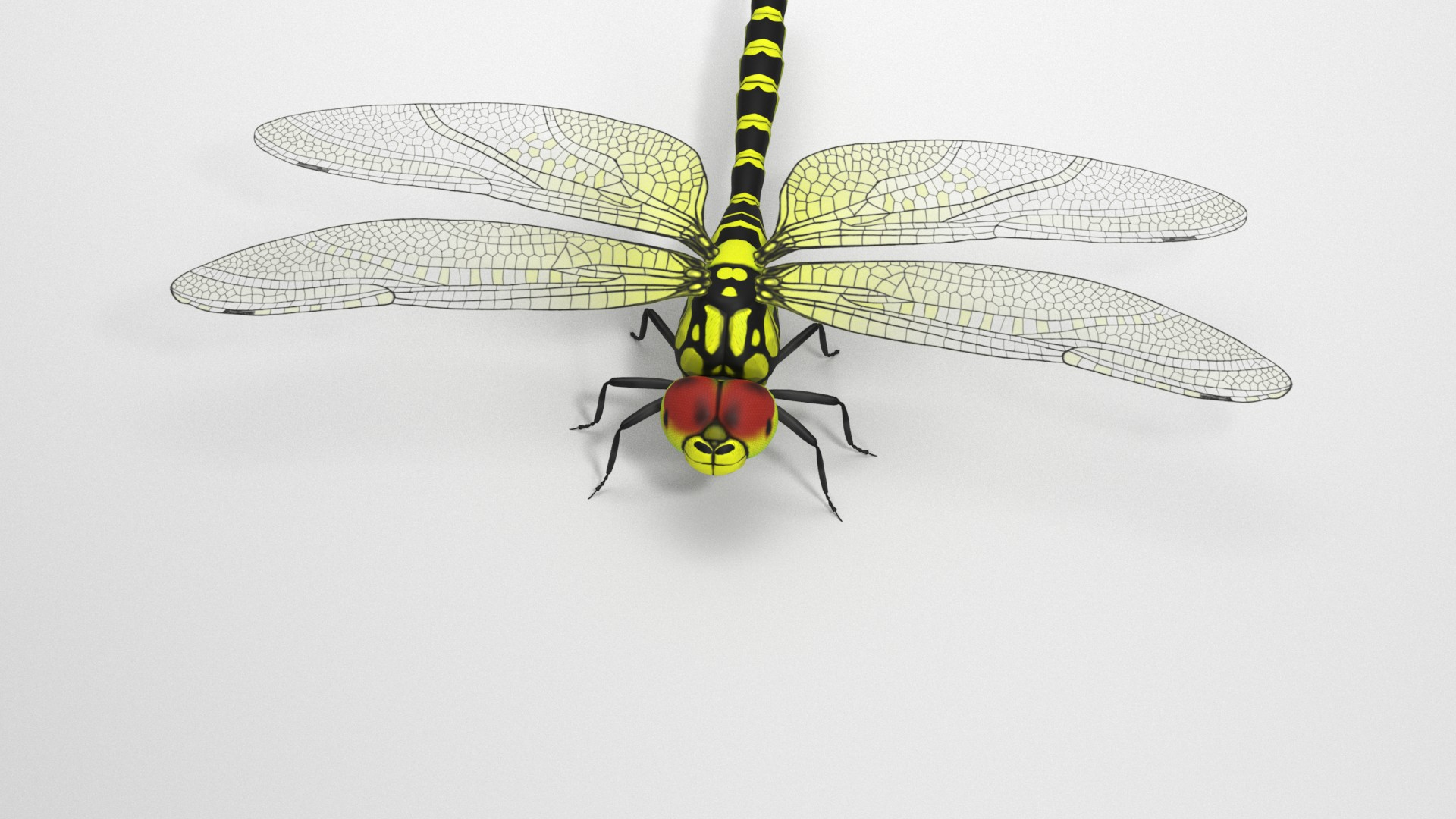 Dragonfly 3D Model - TurboSquid 1826213