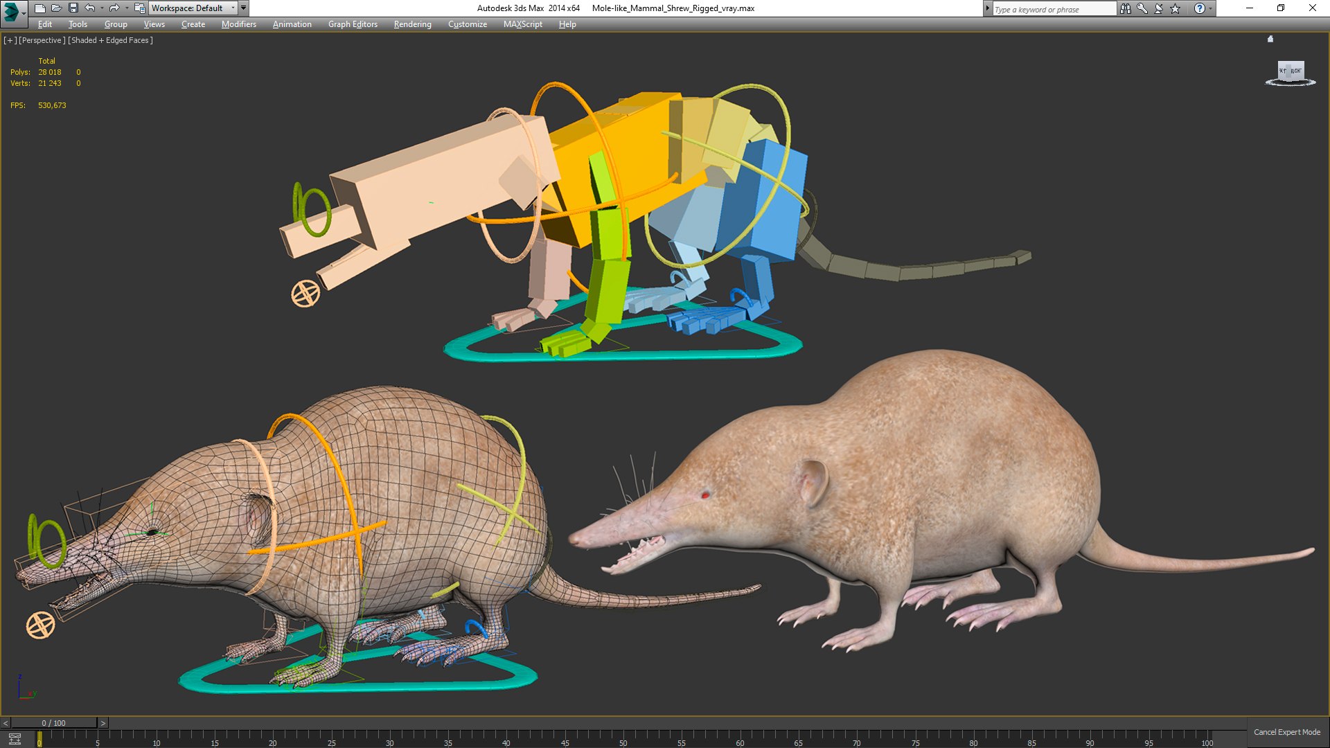 Mole-like Mammal Shrew Rigged 3D model - TurboSquid 2164612