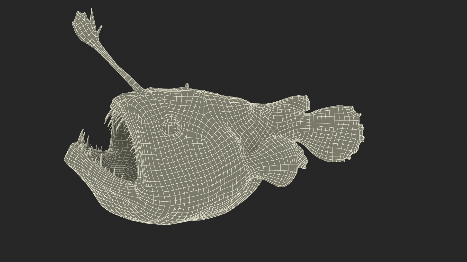 Anglerfish Rigged For Maya 3D Model - TurboSquid 2250629