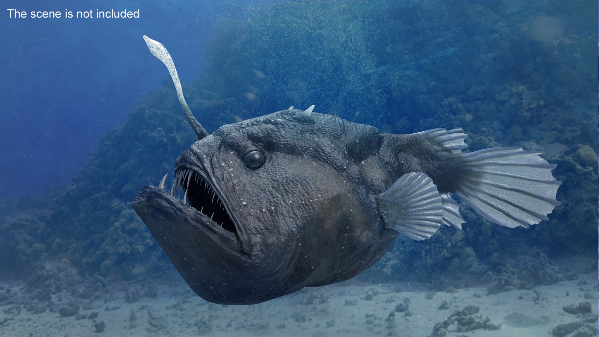 Anglerfish Rigged For Maya 3D Model - TurboSquid 2250629