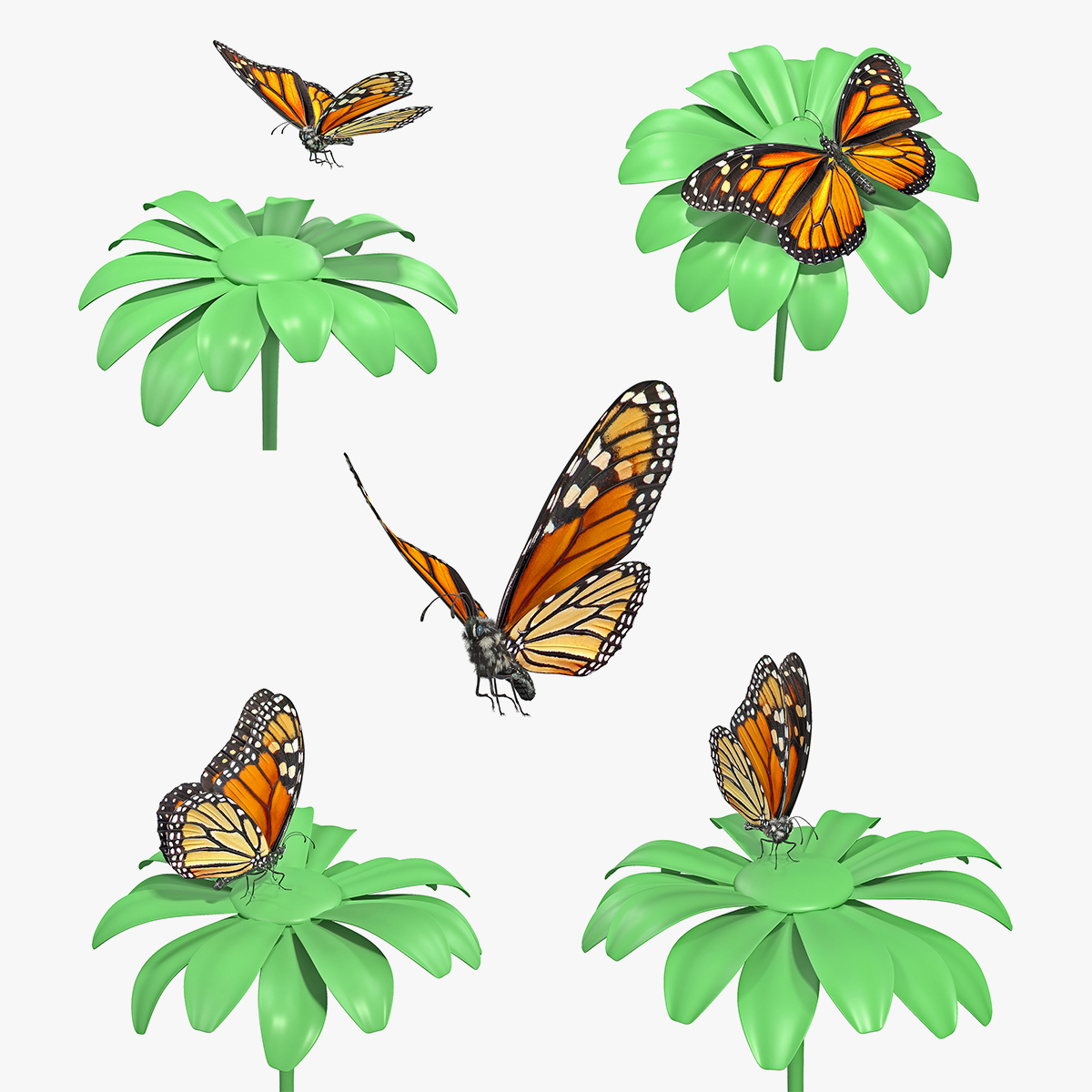 3D monarch butterfly collecting flying insect model - TurboSquid 1583091