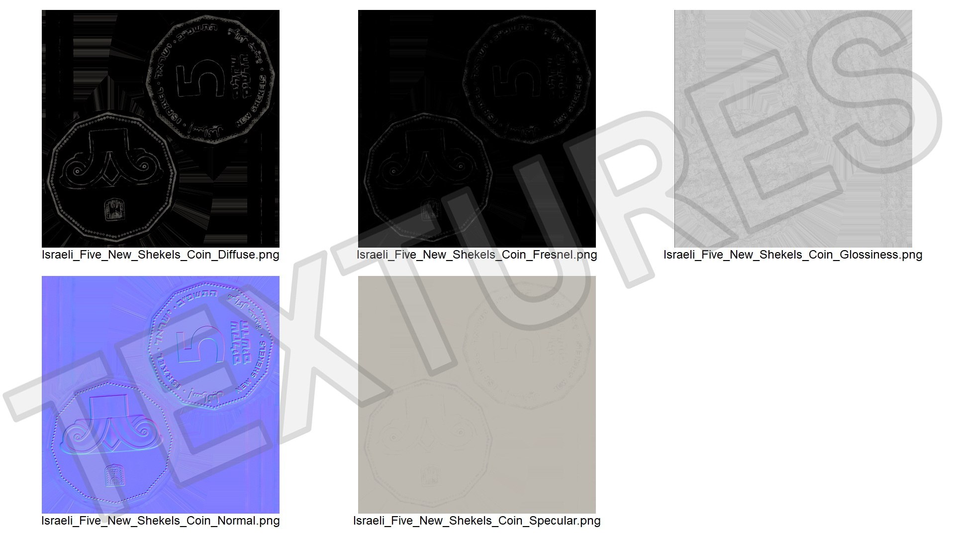 Israeli Five New Shekels Coin Model - TurboSquid 2190632