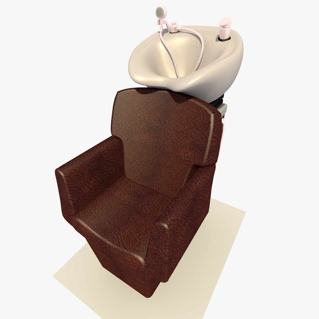 Salon Backwash Bowl Leather Chair 3ds