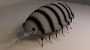 Free Insect 3D Models for Download | TurboSquid
