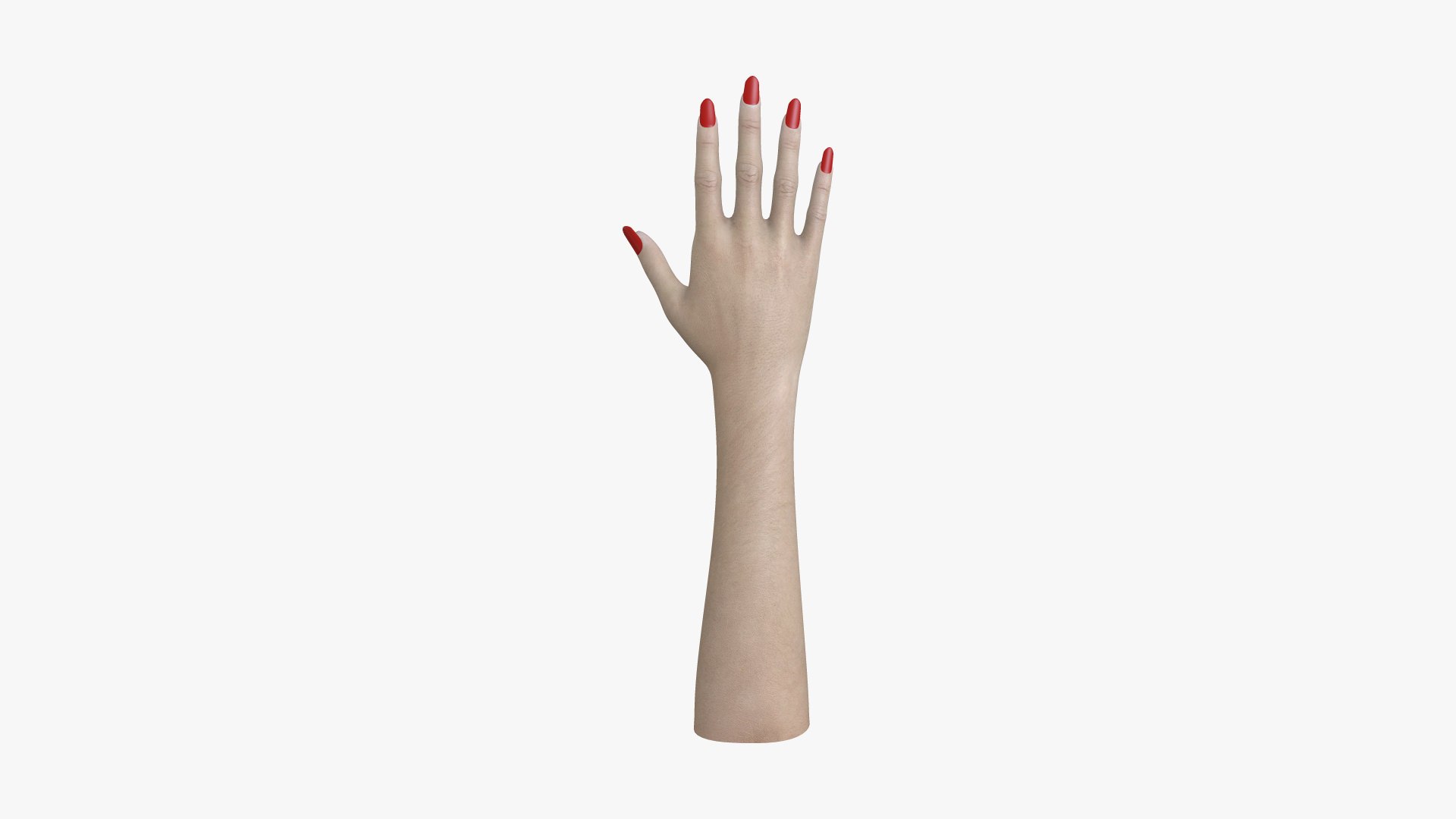 HND-014 Rigged Woman Hand Model - TurboSquid 1991460
