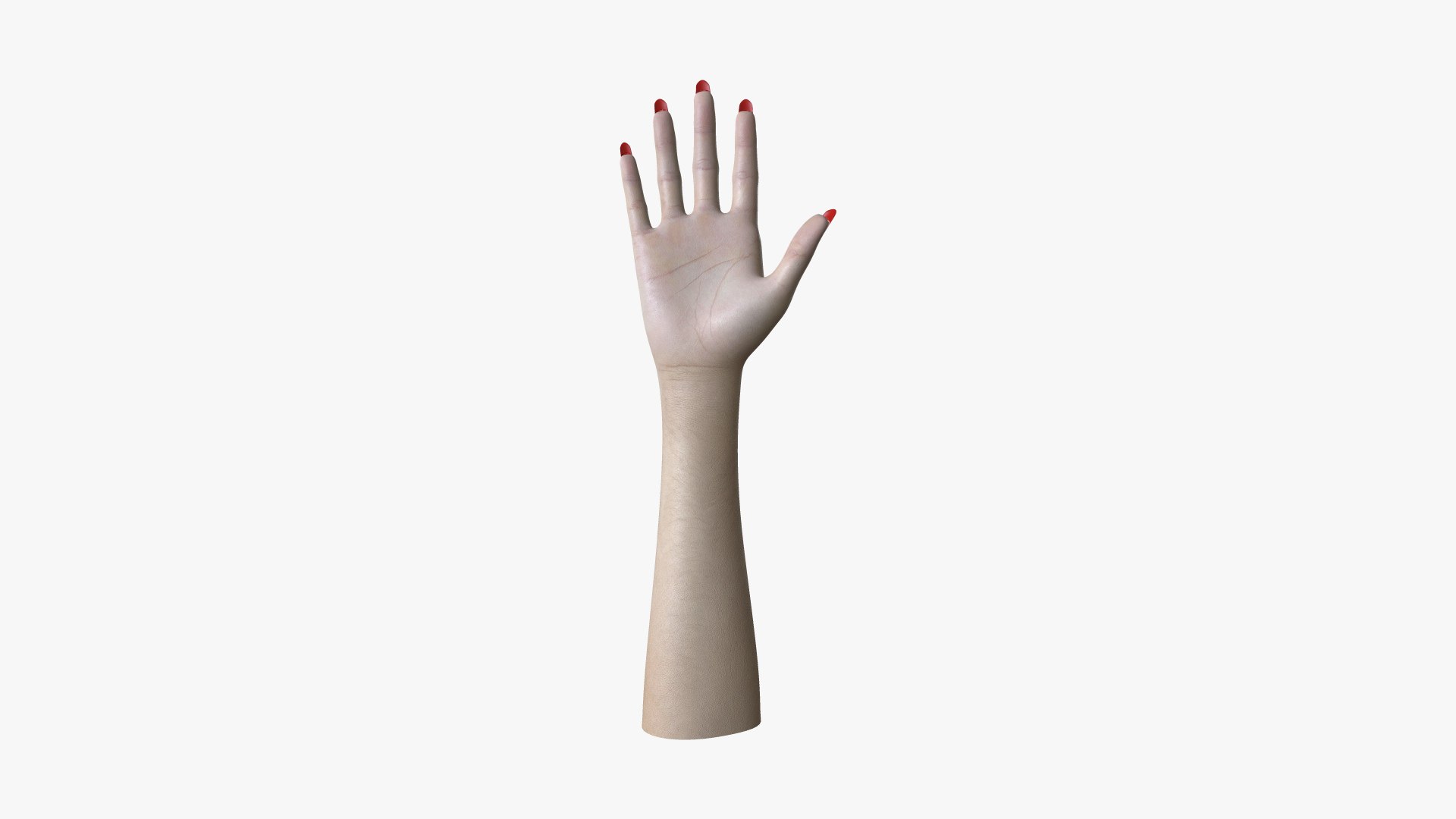 HND-014 Rigged Woman Hand Model - TurboSquid 1991460