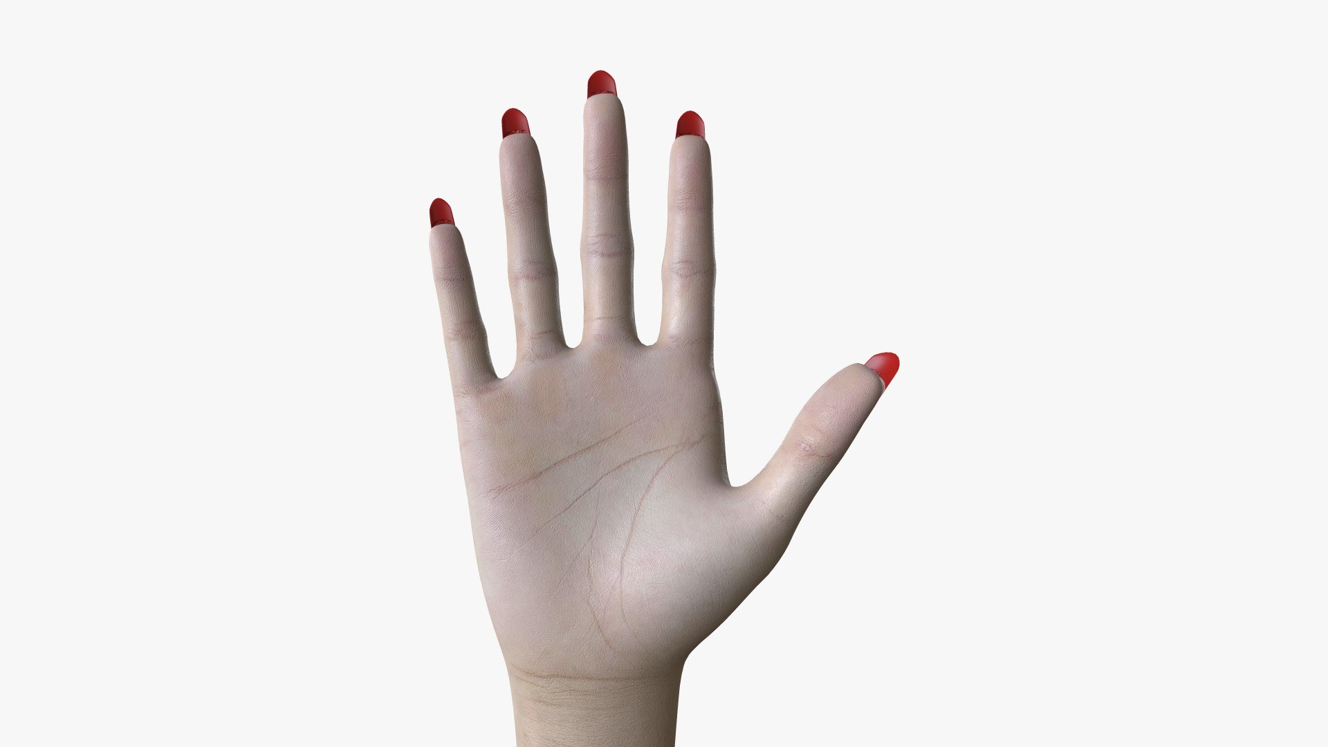 HND-014 Rigged Woman Hand Model - TurboSquid 1991460