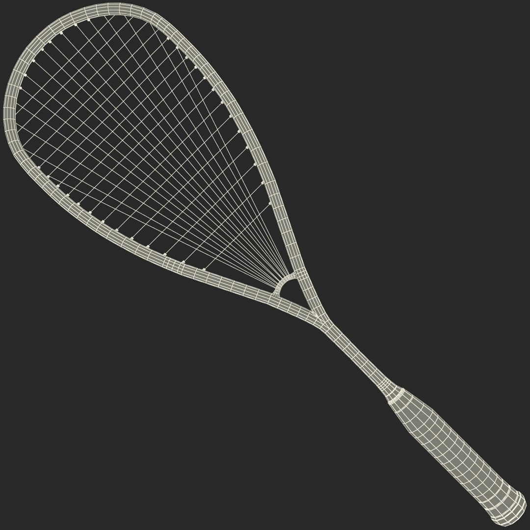 3d Squash Racquet