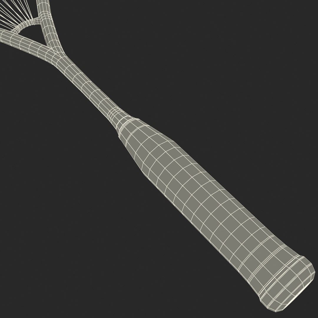 3d Squash Racquet