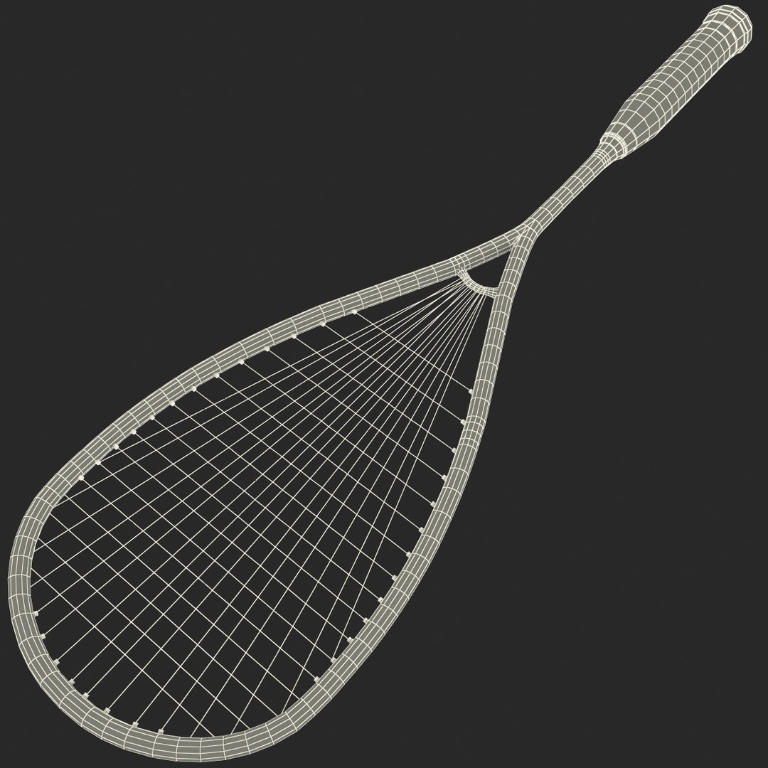 3d Squash Racquet