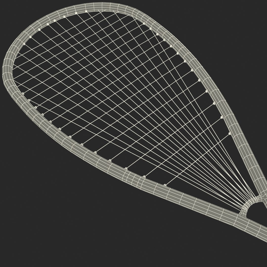 3d Squash Racquet
