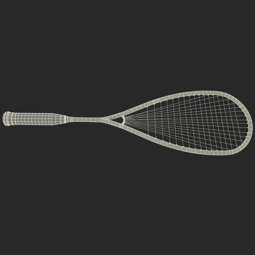 3d Squash Racquet