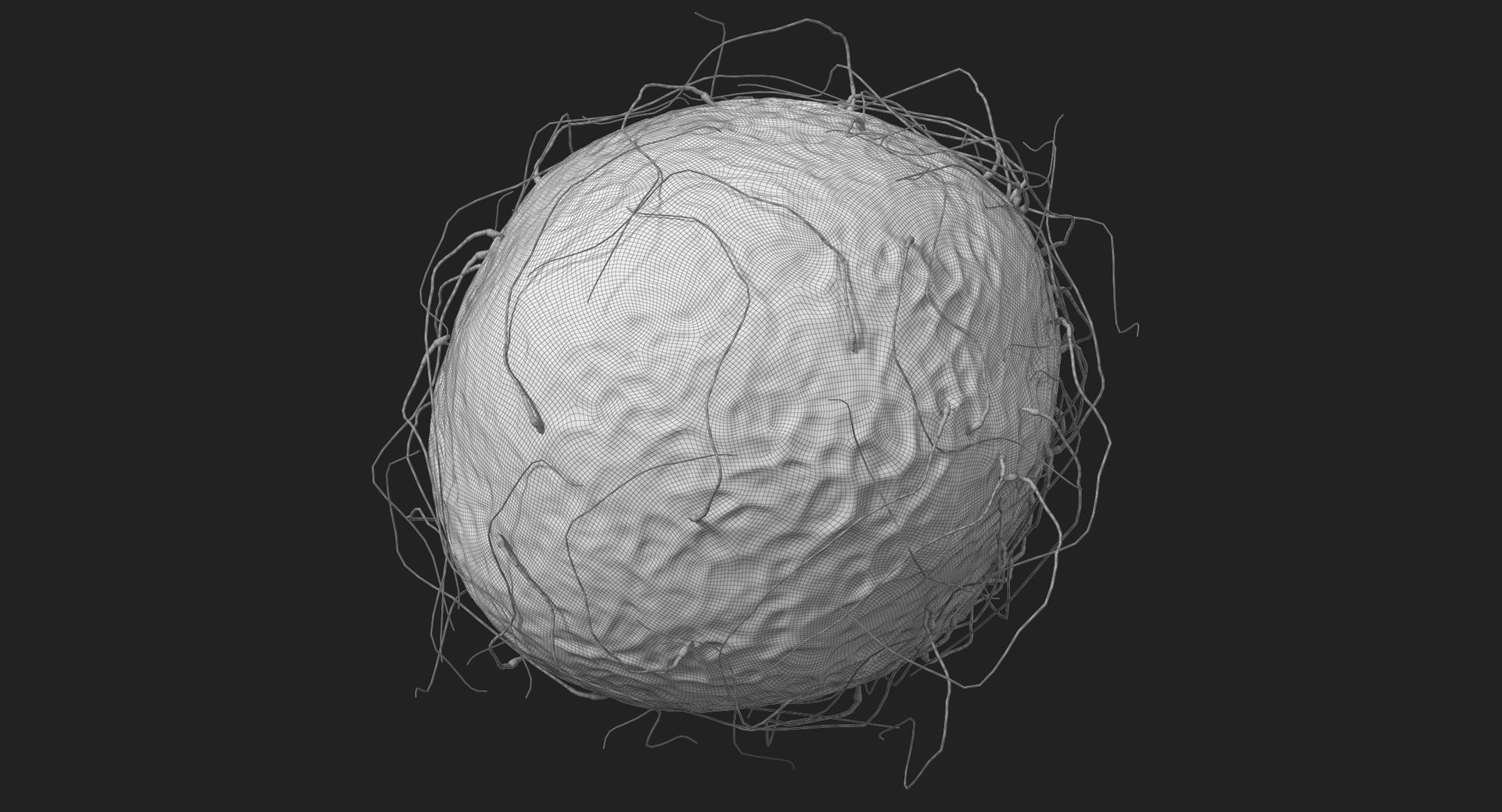 3D Fertilization - TurboSquid 1391635