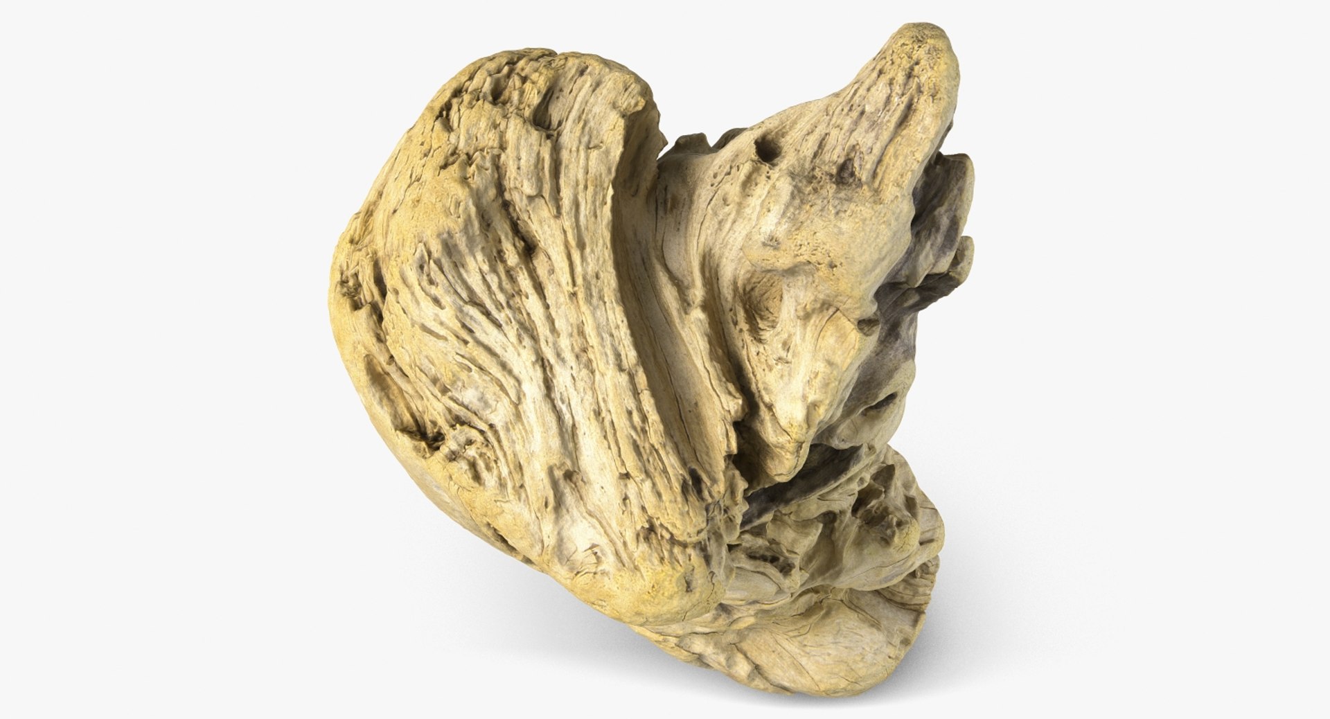 3d Teak Wood Root Piece Model