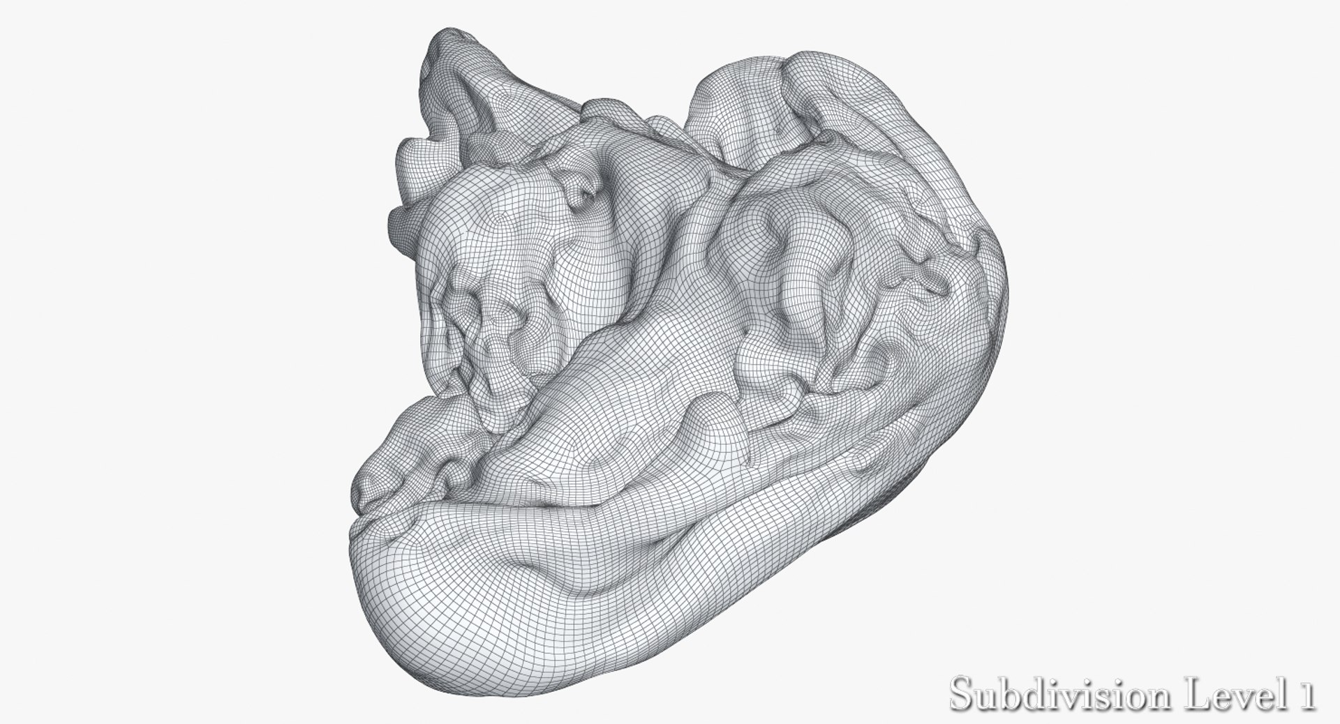 3d Teak Wood Root Piece Model
