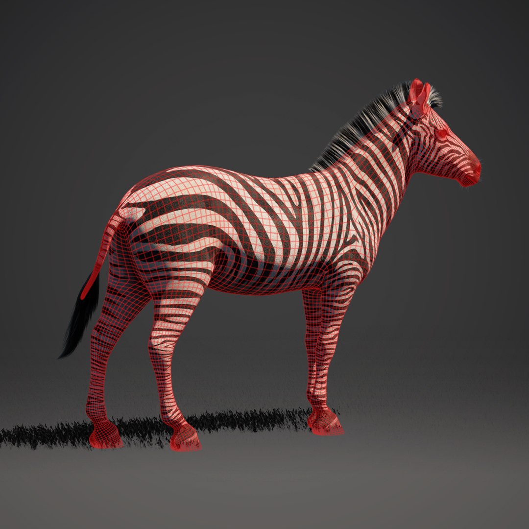 Zebra 3D Model - TurboSquid 2230738