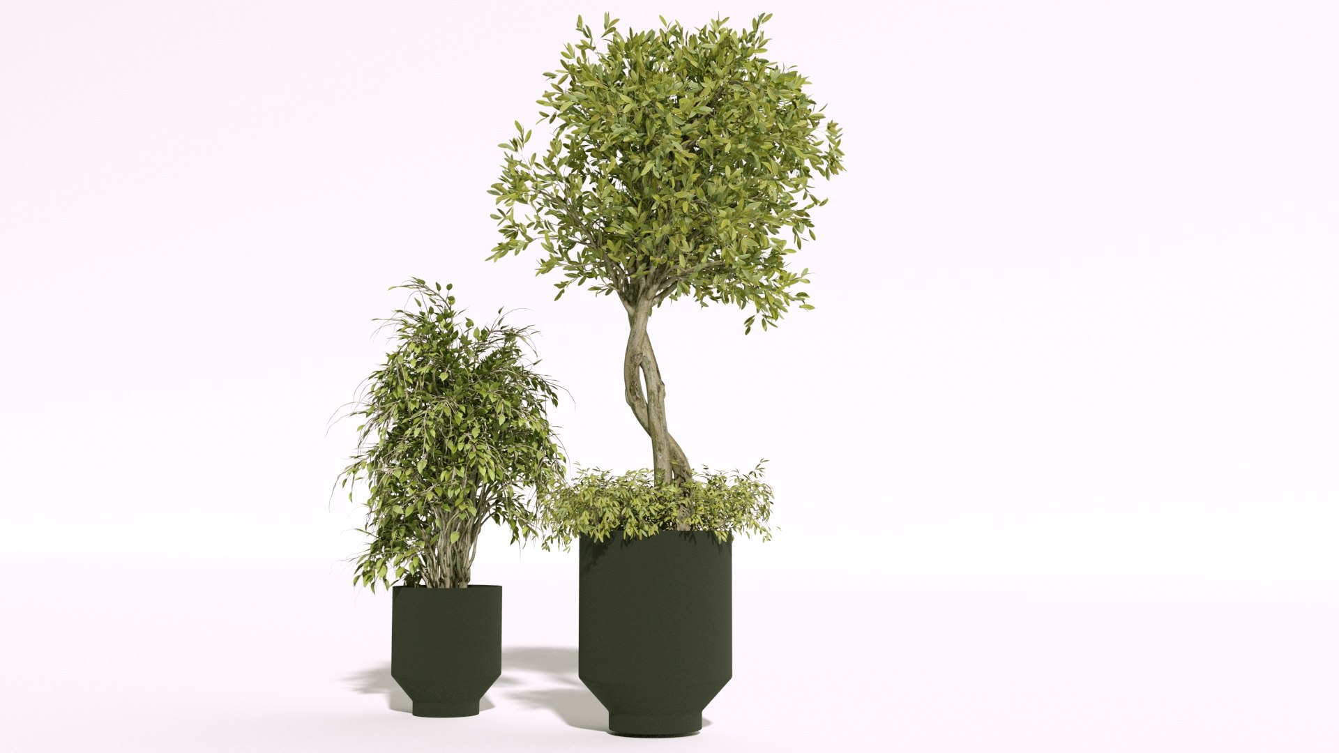 Plant pot3D模型 - TurboSquid 2102218