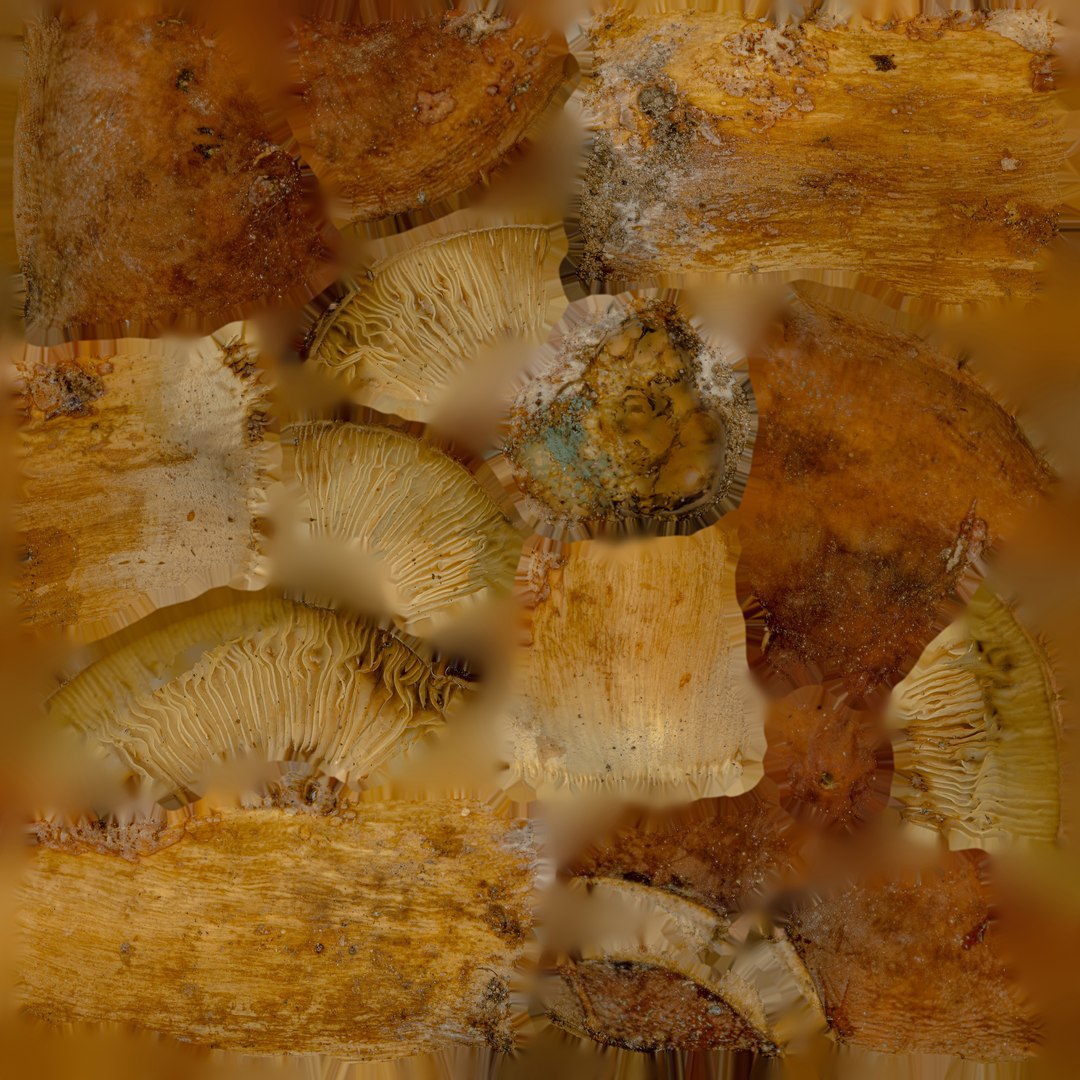 Free 3D Mushroom Free 3D Model - TurboSquid 2318942