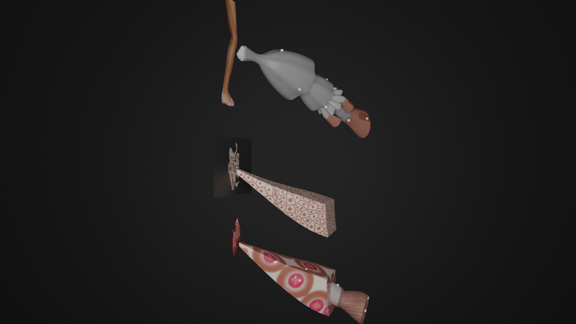 3D Human Anatomy-Muscular Tissue Nomenclature Model - TurboSquid 2229913