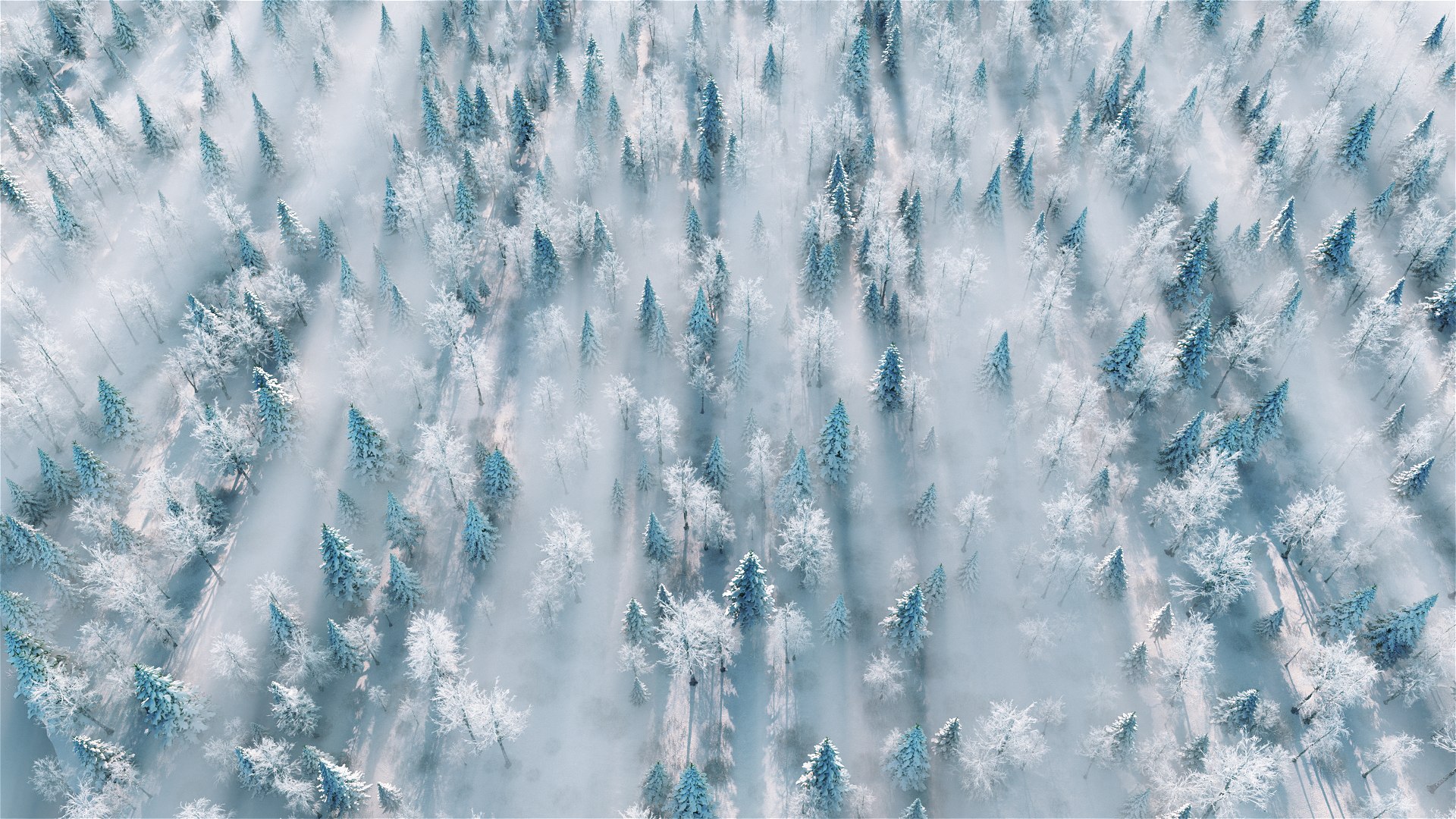 Snow Scene Overlooking Snow Mountain Snow Field Pine Tree 3D Model 3D ...