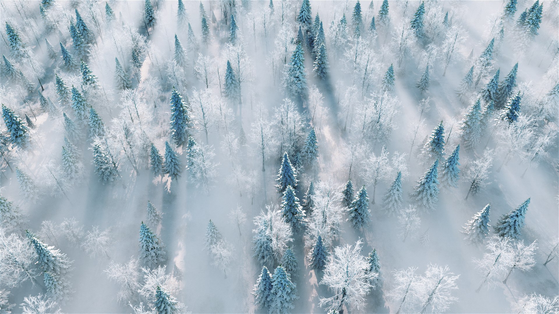 Snow Scene Overlooking Snow Mountain Snow Field Pine Tree 3D Model 3D ...