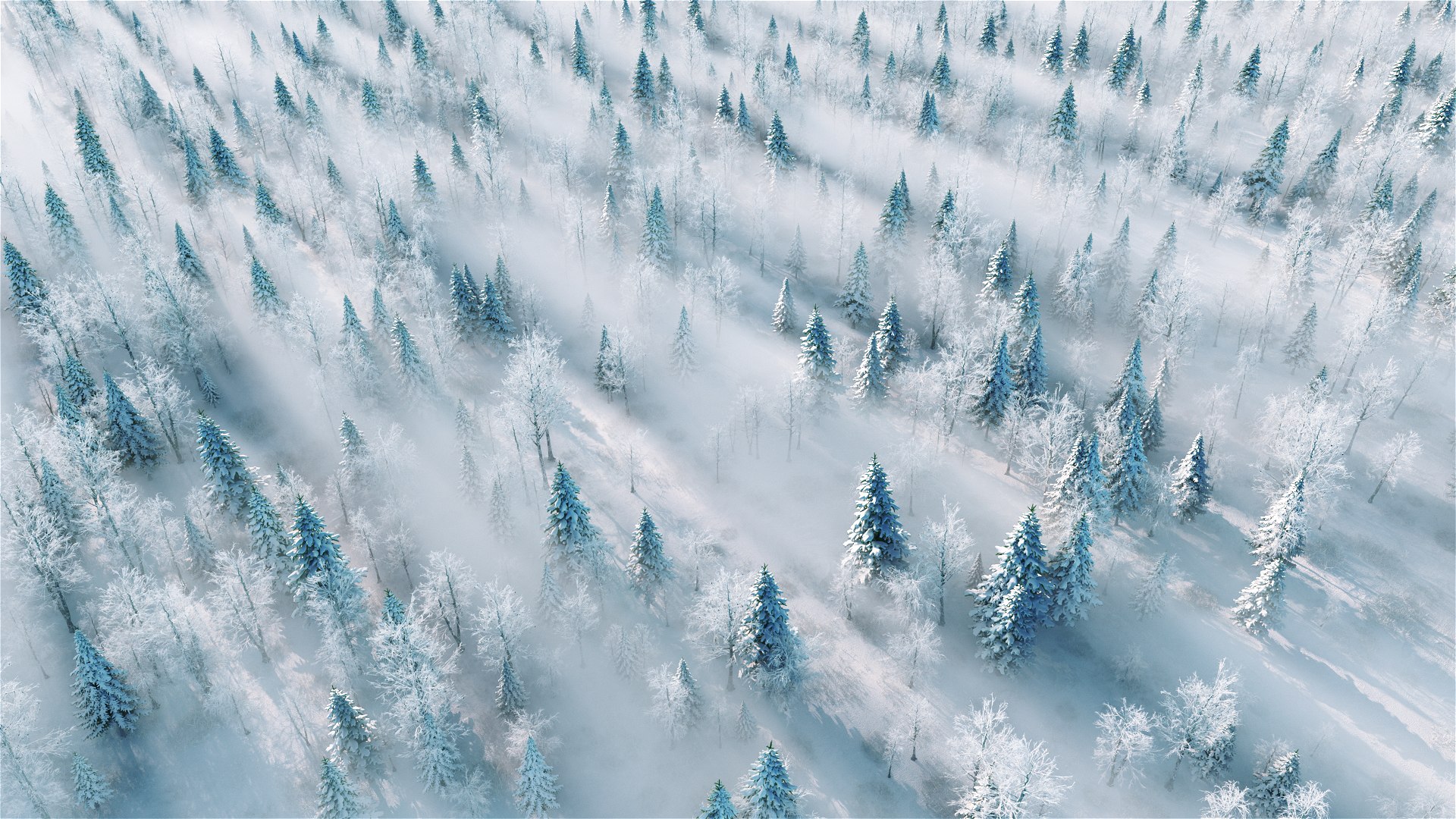 Snow Scene Overlooking Snow Mountain Snow Field Pine Tree 3D Model 3D ...