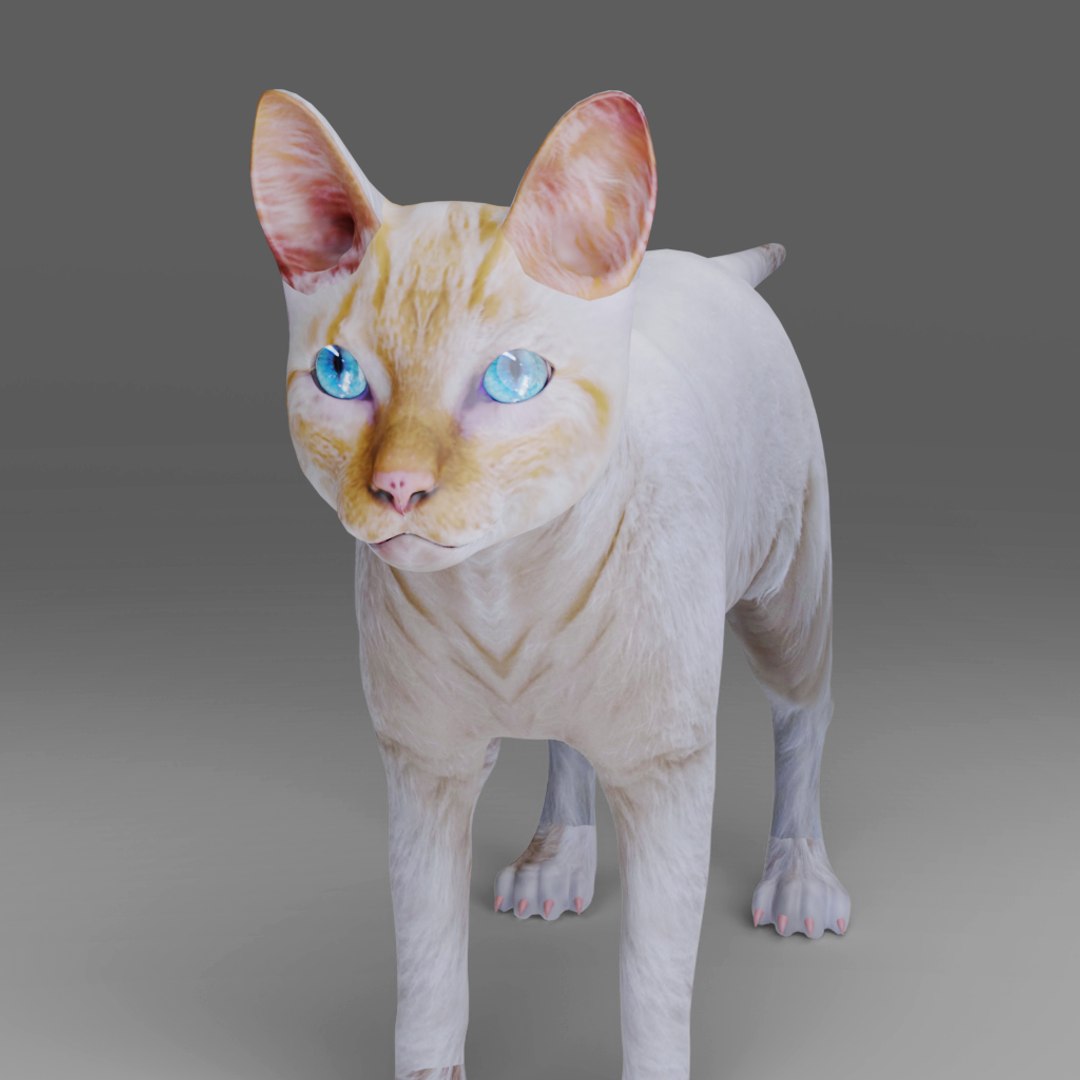 3D Cat White NO Rigged In Blender Model - TurboSquid 1984093