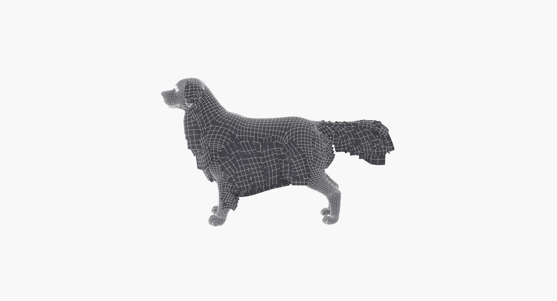 3d Model Of Retriever