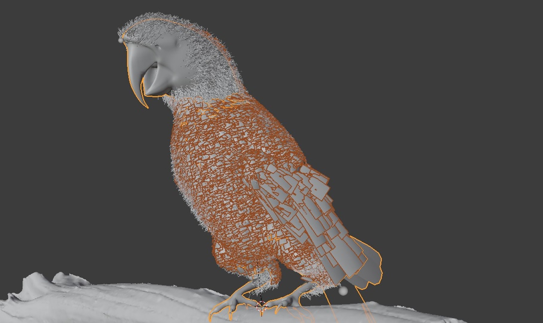 Parrot 3D - TurboSquid 1719545