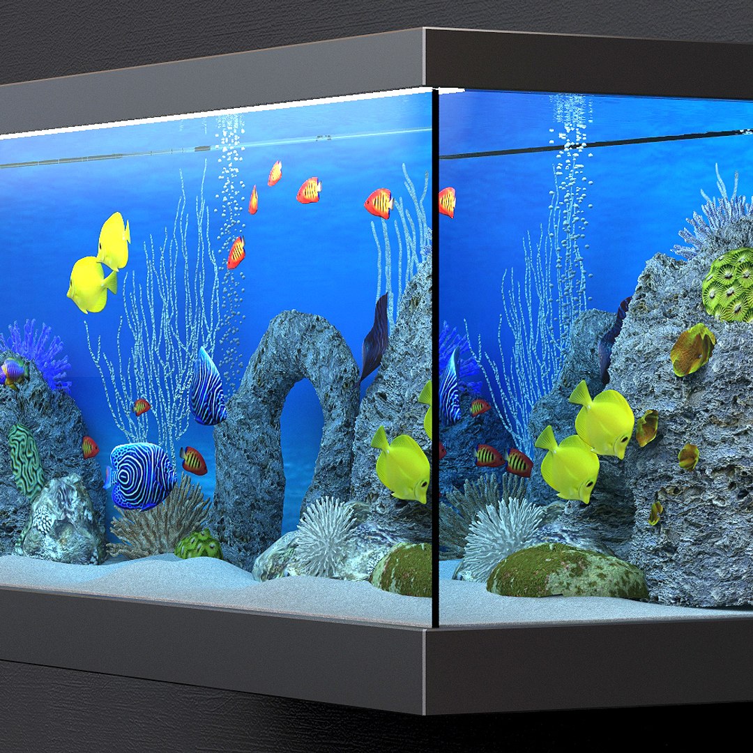 Aquarium 3d Max