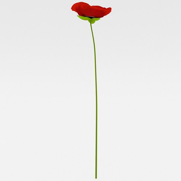 3d red poppy flower