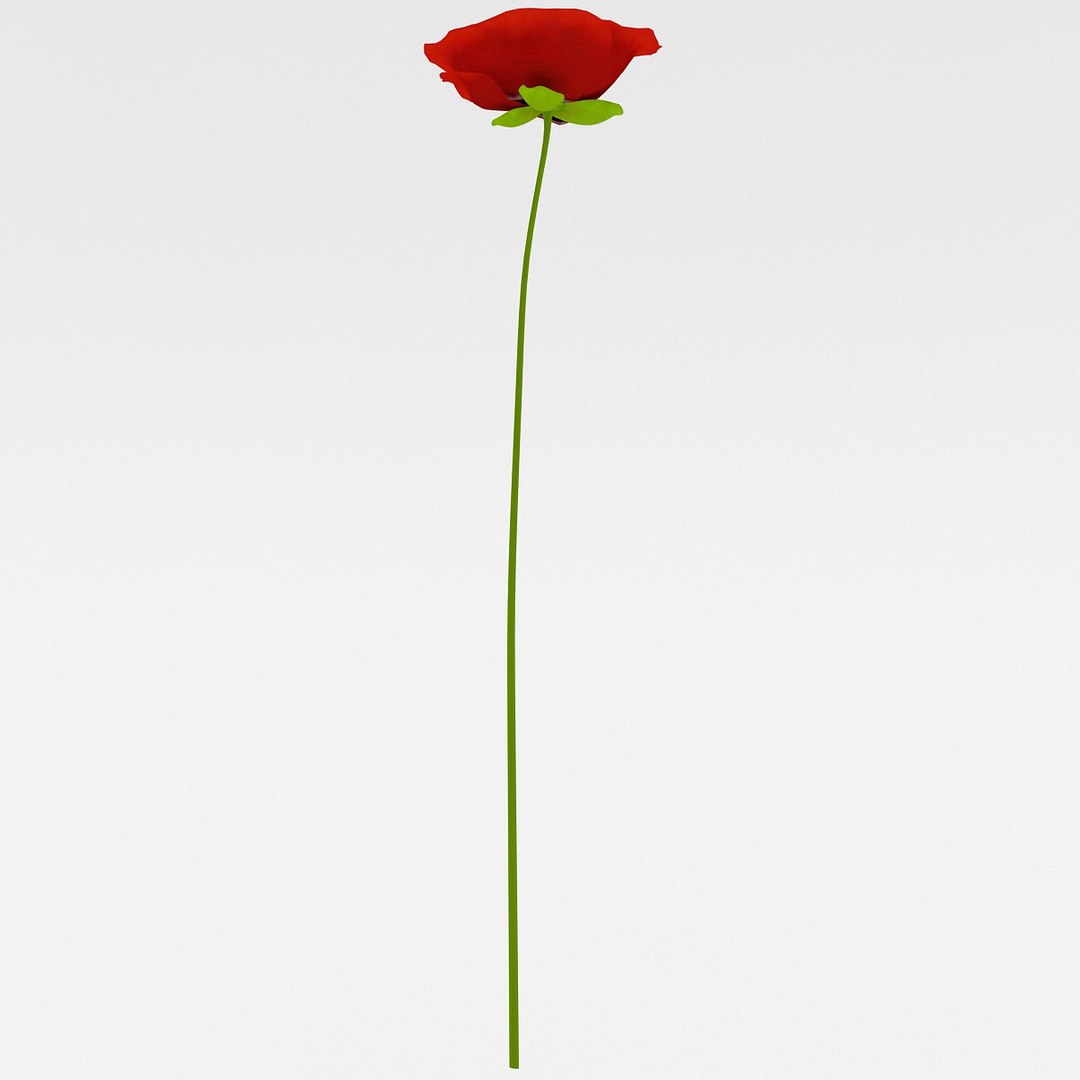 3d red poppy flower