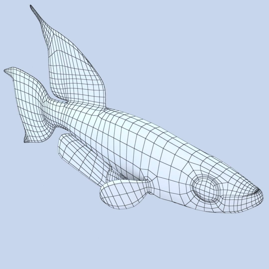 3d Model Killifish 1