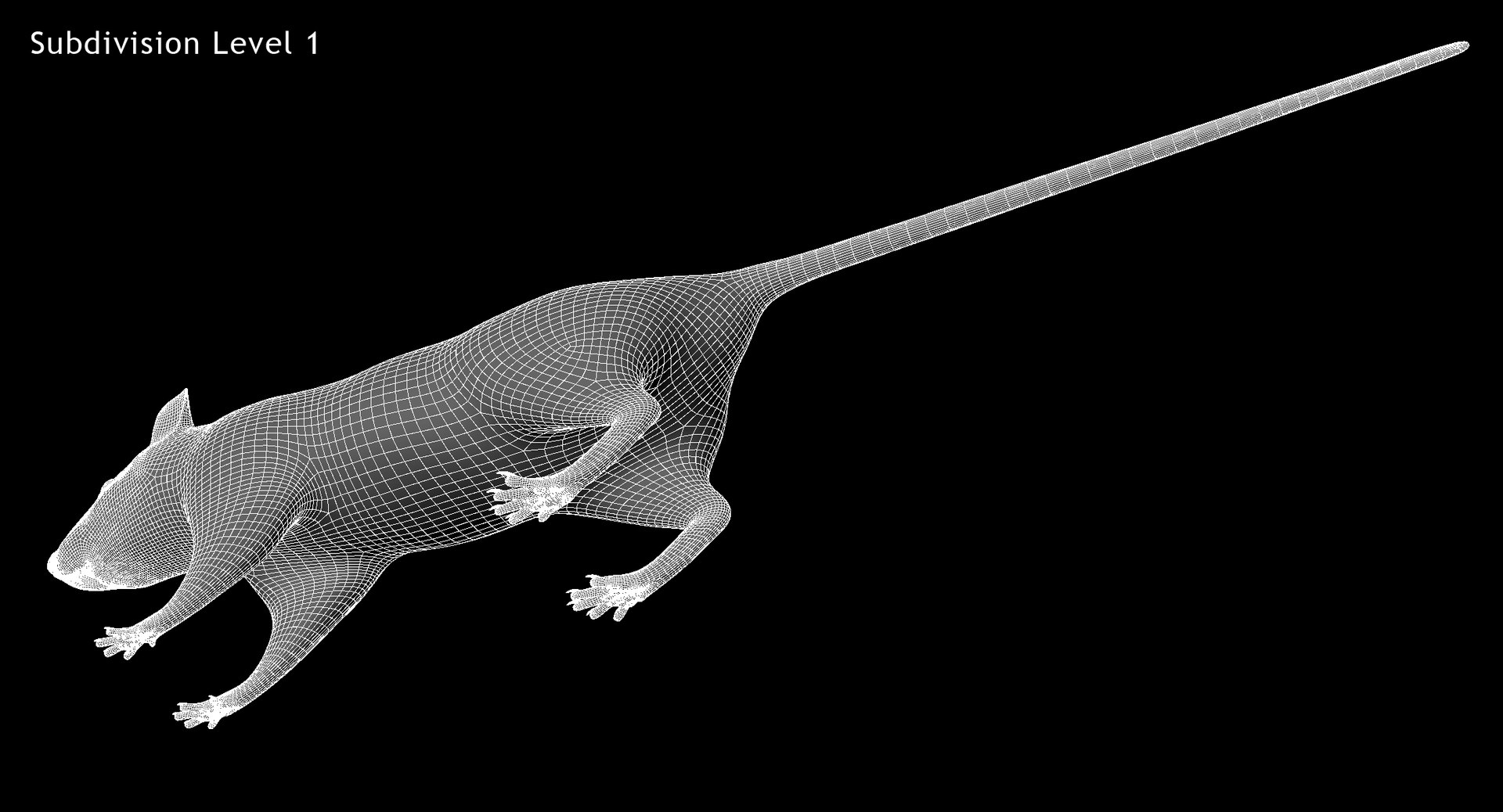 3d Model White Rat