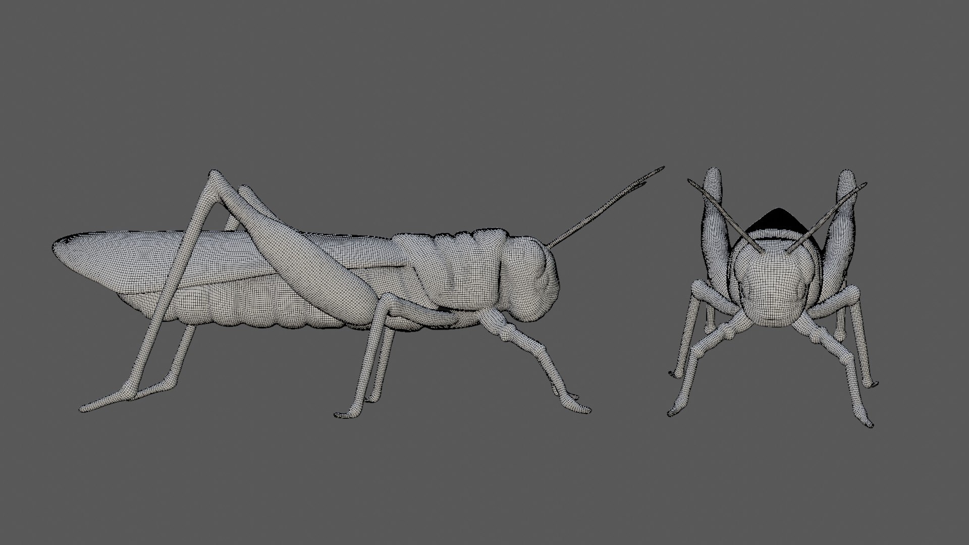 3D Rigged Green Grasshopper - TurboSquid 1775168