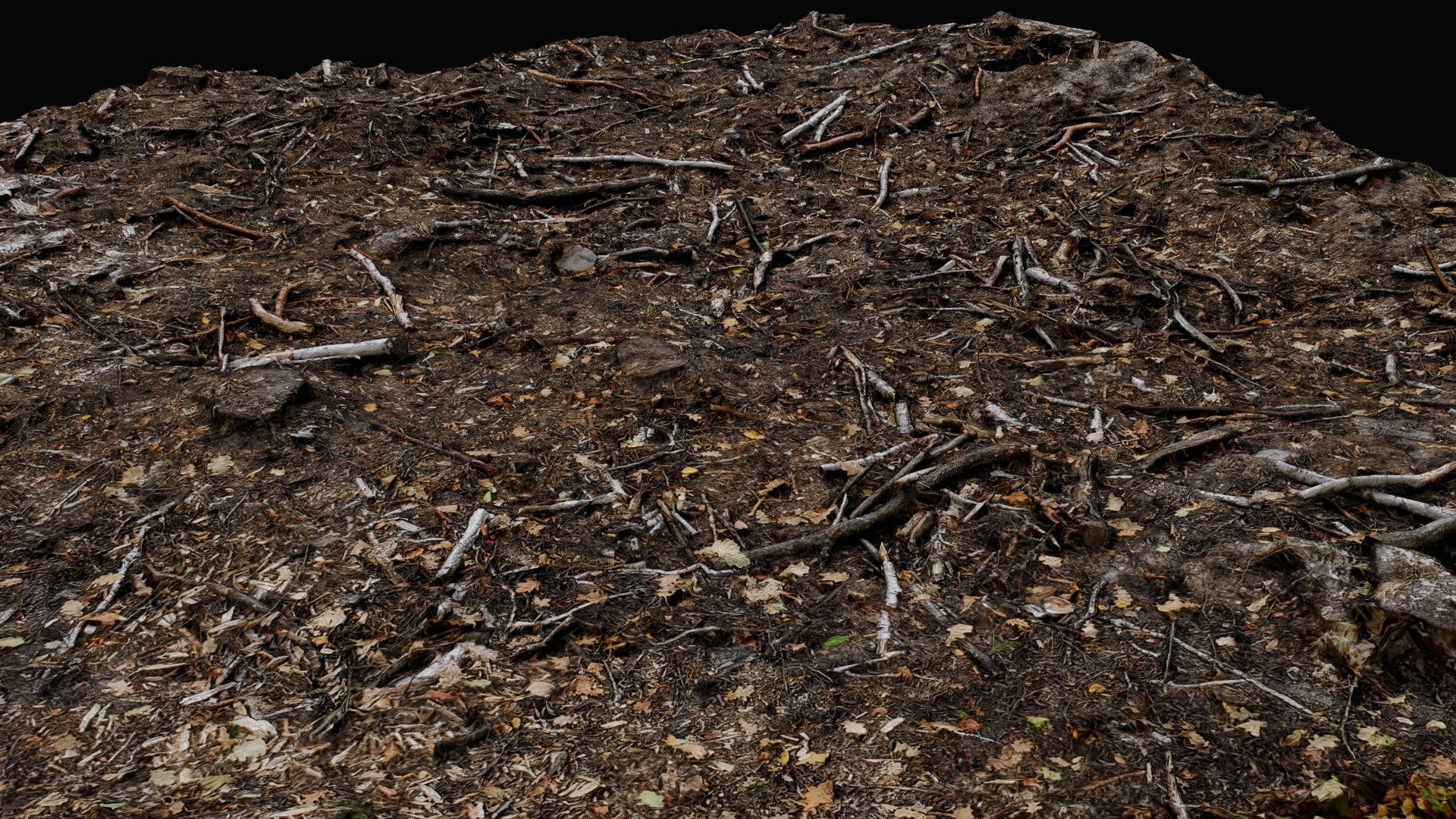 Forest Ground Cutted Tree Branches Area Part7 Photogrammetry Model ...