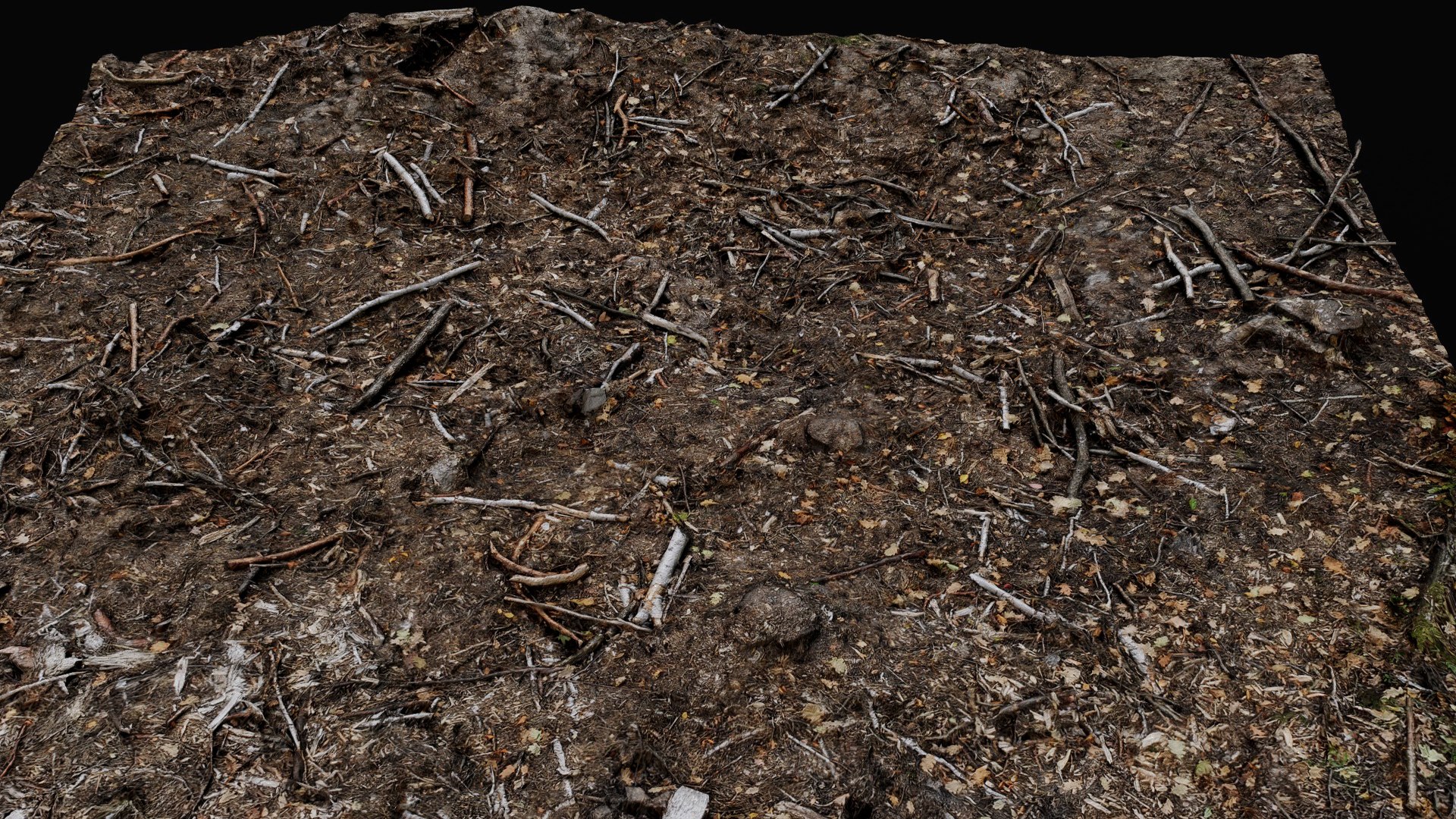 Forest Ground Cutted Tree Branches Area Part7 Photogrammetry Model ...