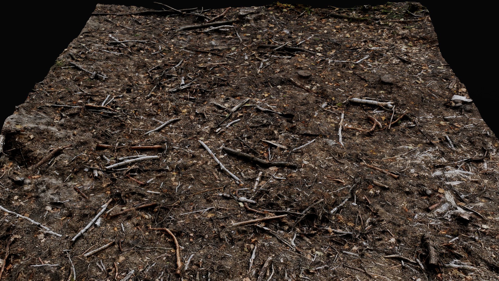 Forest Ground Cutted Tree Branches Area Part7 Photogrammetry Model ...