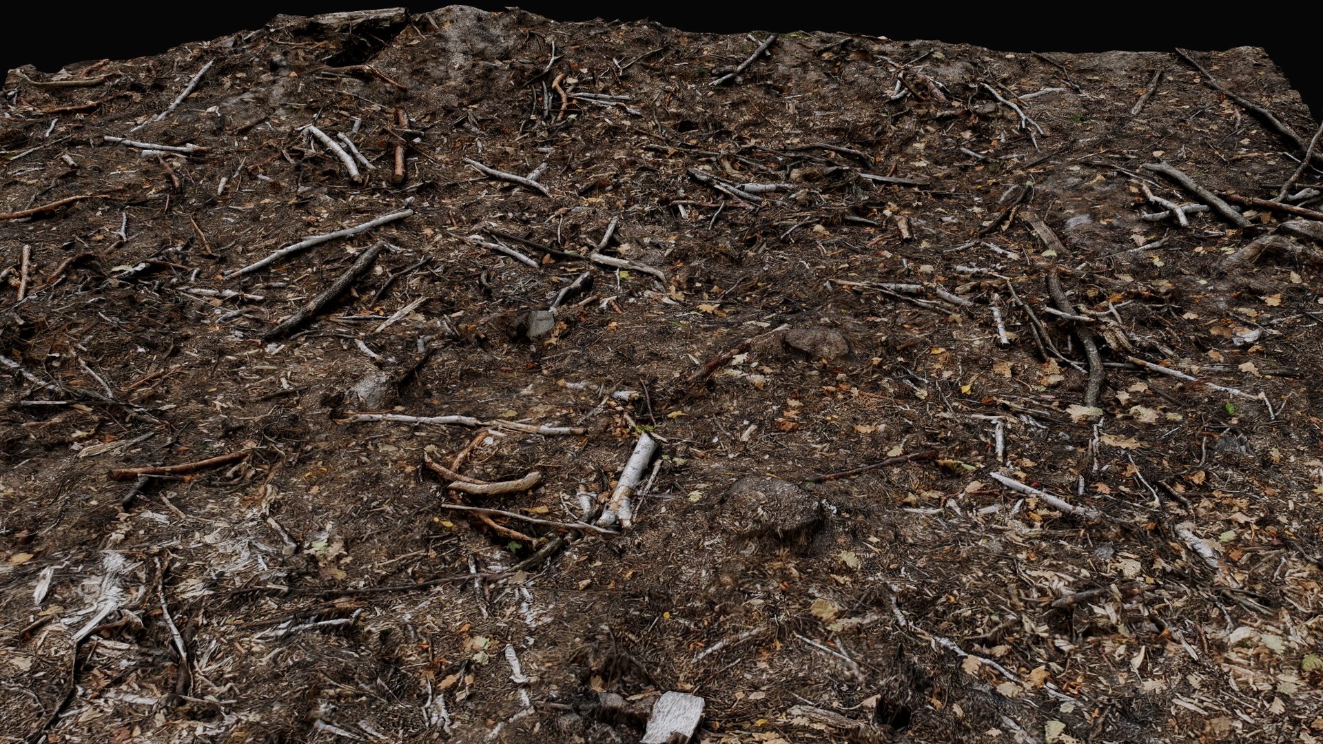 Forest Ground Cutted Tree Branches Area Part7 Photogrammetry Model ...