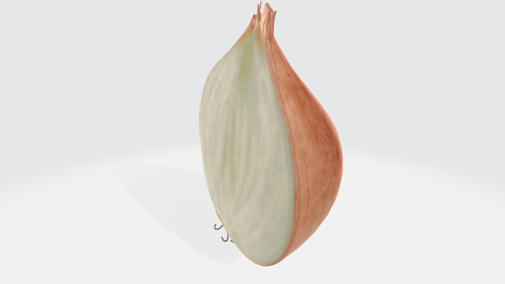 3D Onion - TurboSquid 2347343