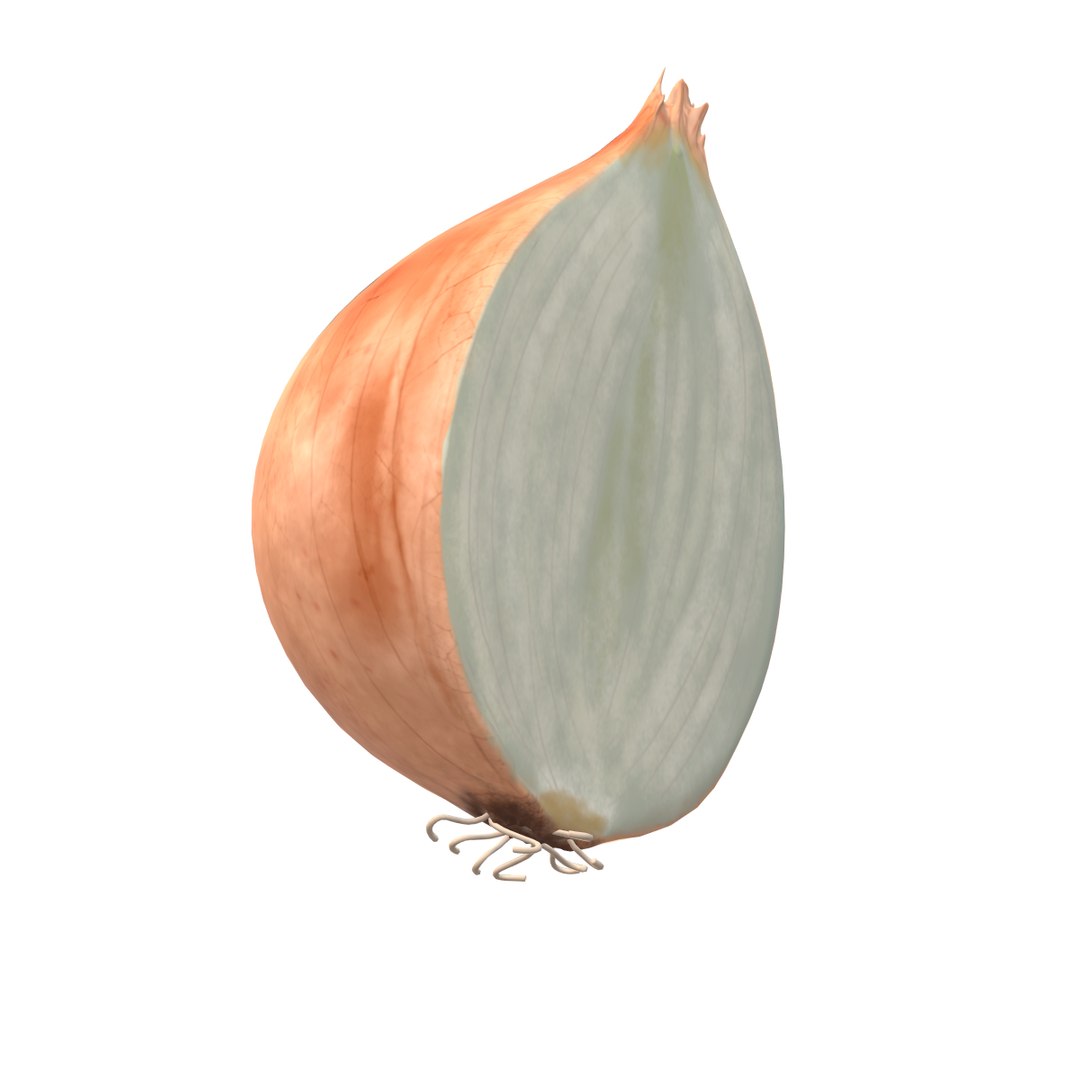 3D Onion - TurboSquid 2347343