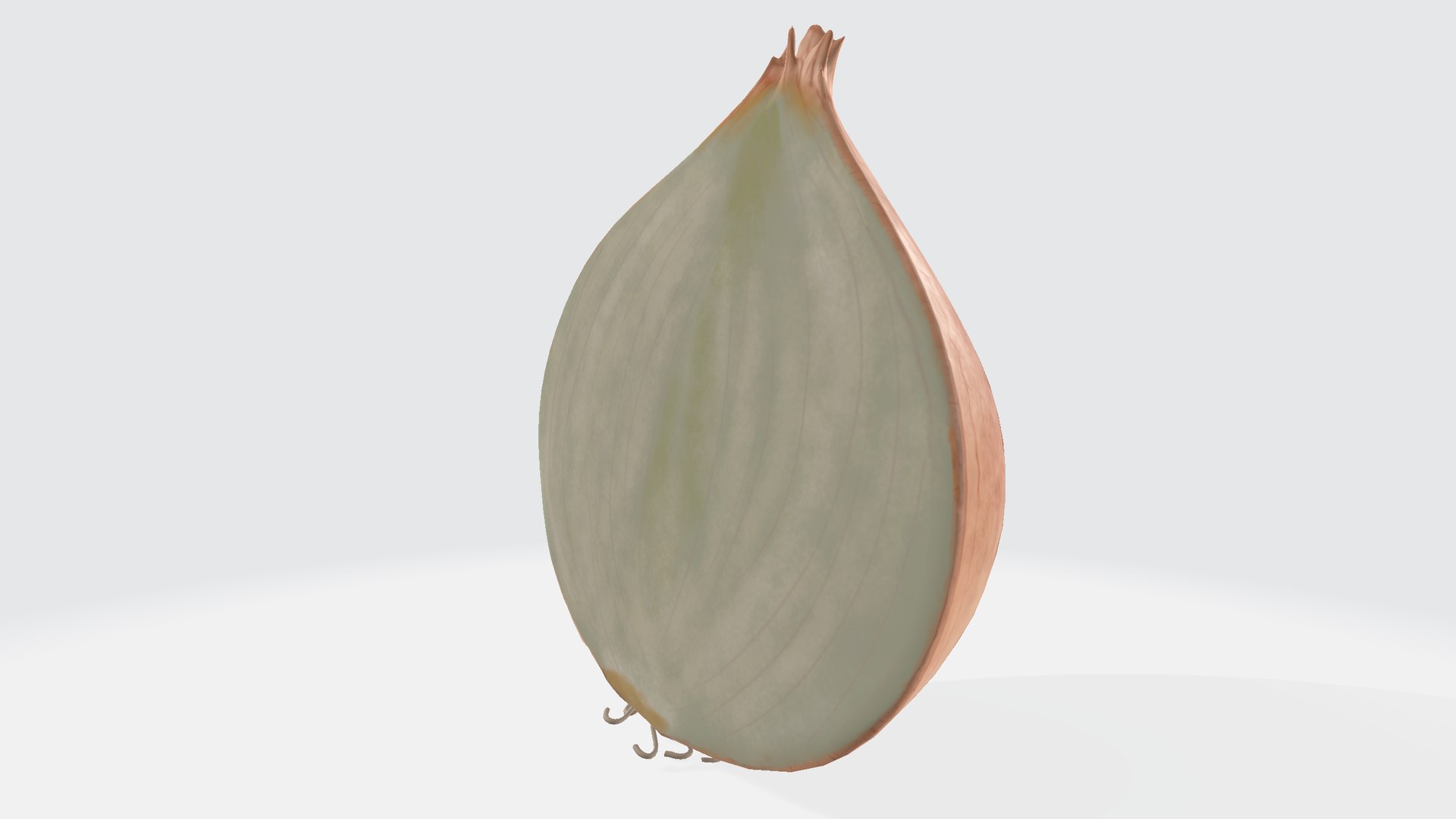 3D Onion - TurboSquid 2347343